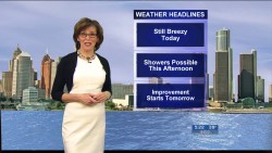 Jill Washburn WWJ 62 Detroit - TvNewsCaps