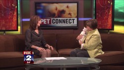 Sherry Margolis - FOX 2 Detroit - Page 3 - TvNewsCaps